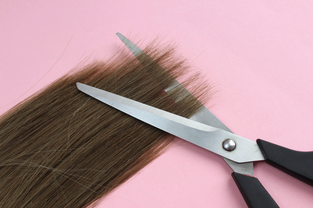 The Best Canadian Beginner Hair Scissors - Japan Scissor Shop