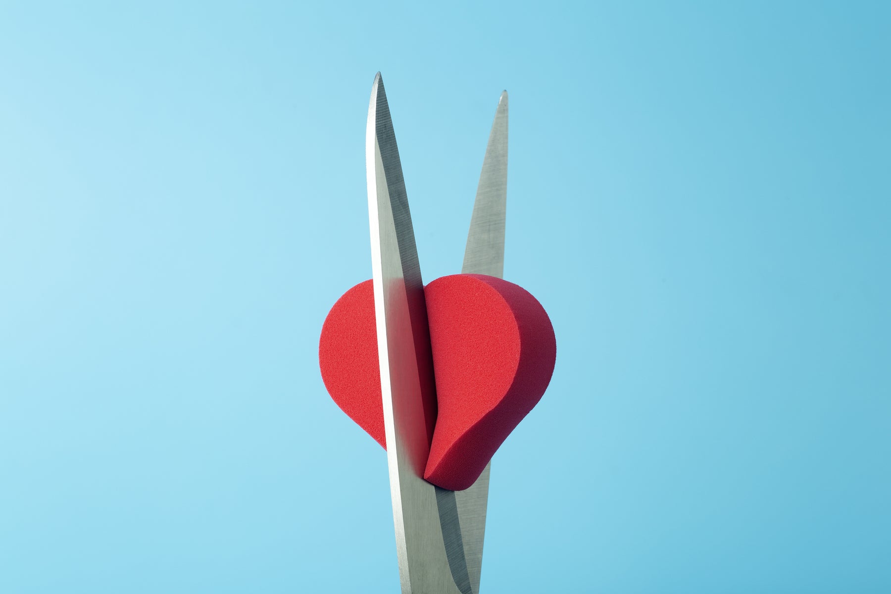 Blunt or Dull Scissors: The Three Main Signs - Japan Scissor Shop