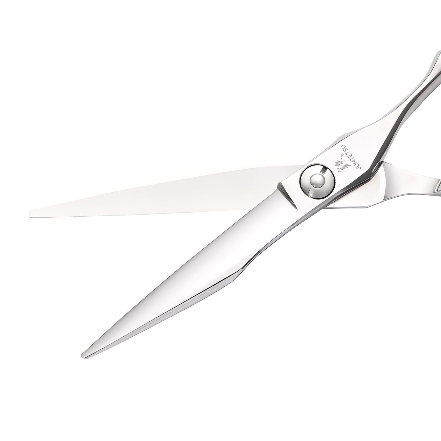 Juntetsu Precision VG10 Hair Cutting Scissor: Professional-Grade ...